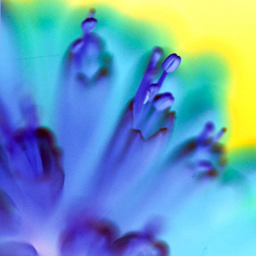 Galleries/Shop | Andy Small