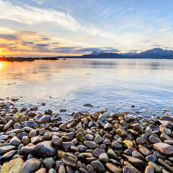 Galleries/Shop | Andy Small