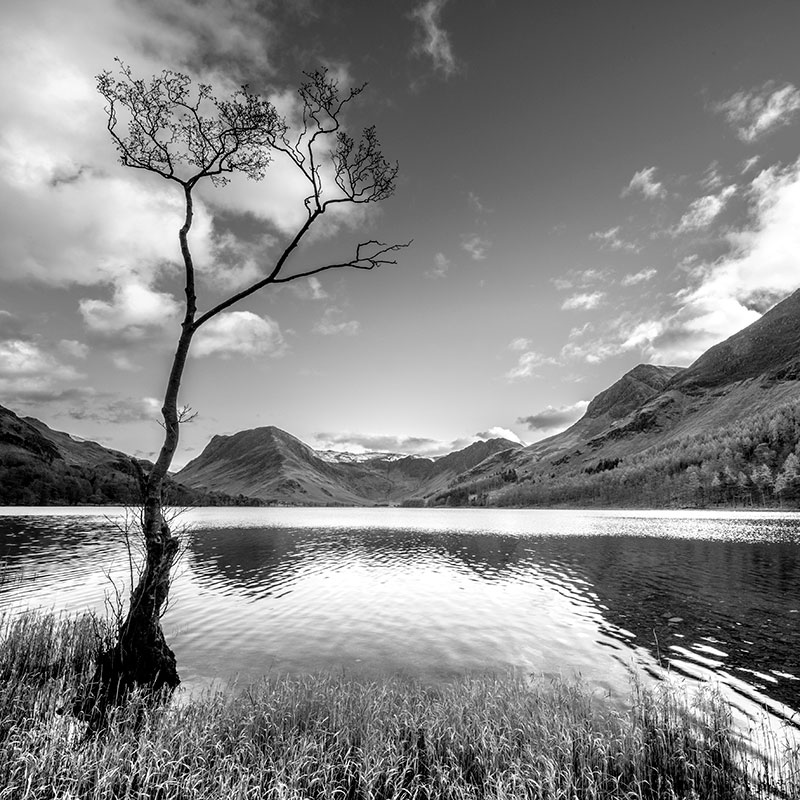 Galleries/Shop | Andy Small