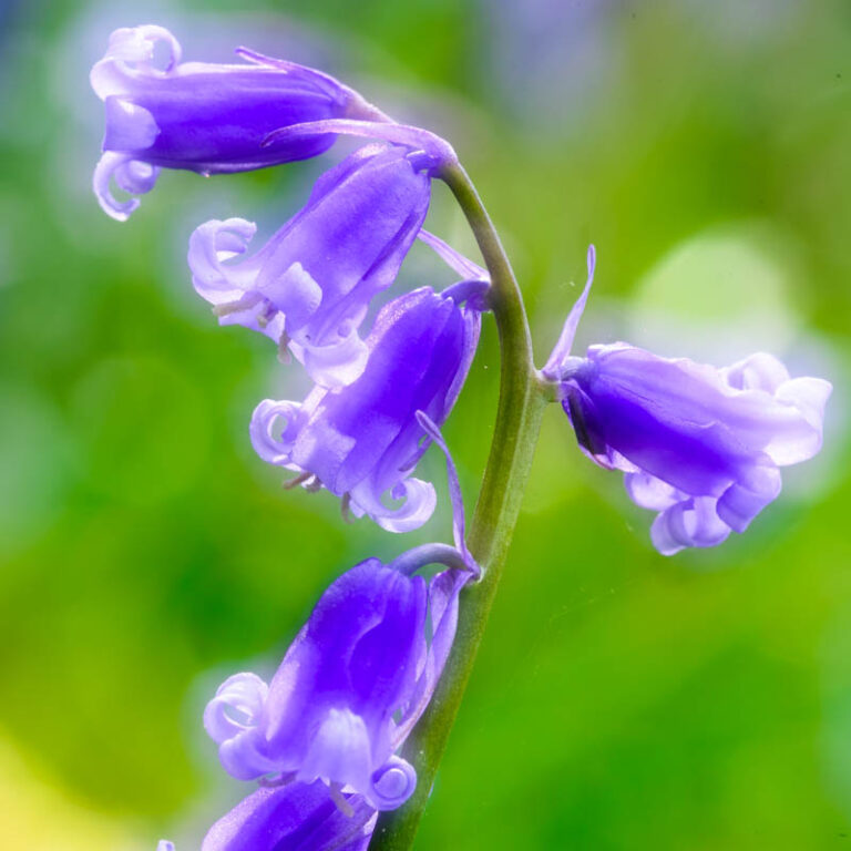 Galleries/Shop | Andy Small