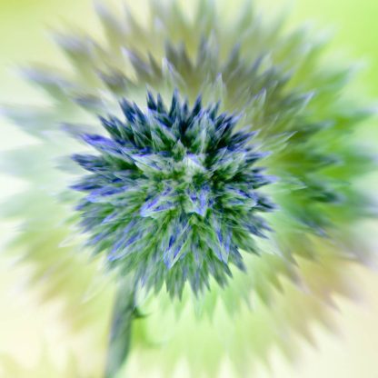 Galleries/Shop | Andy Small