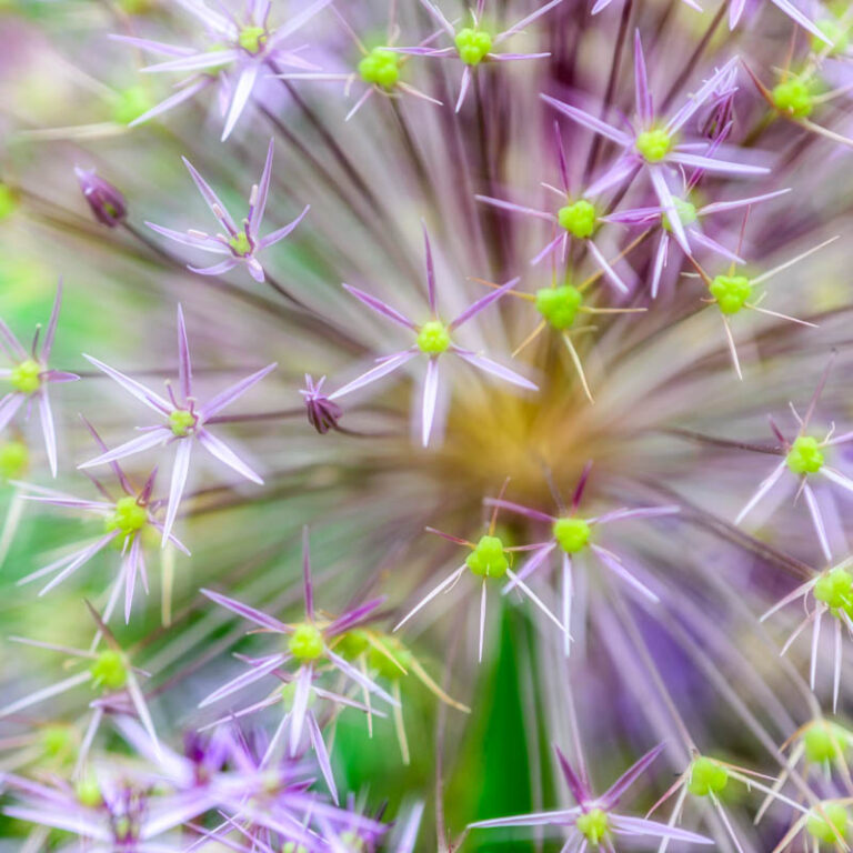 andysmall, Author at Andy Small