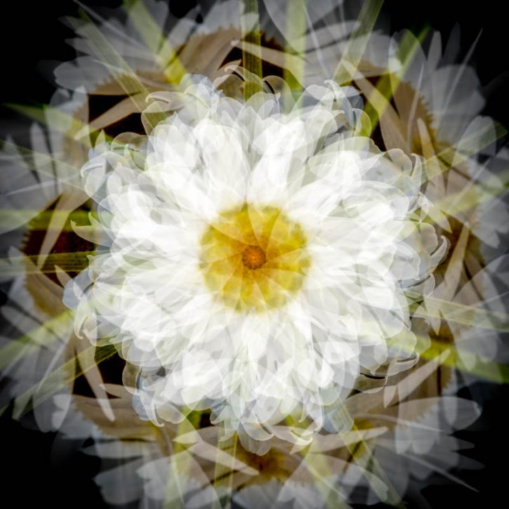 Galleries/Shop | Andy Small