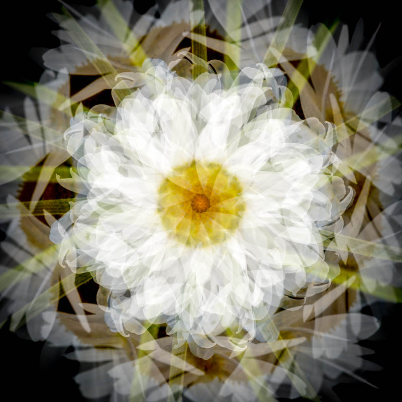 Galleries/Shop | Andy Small