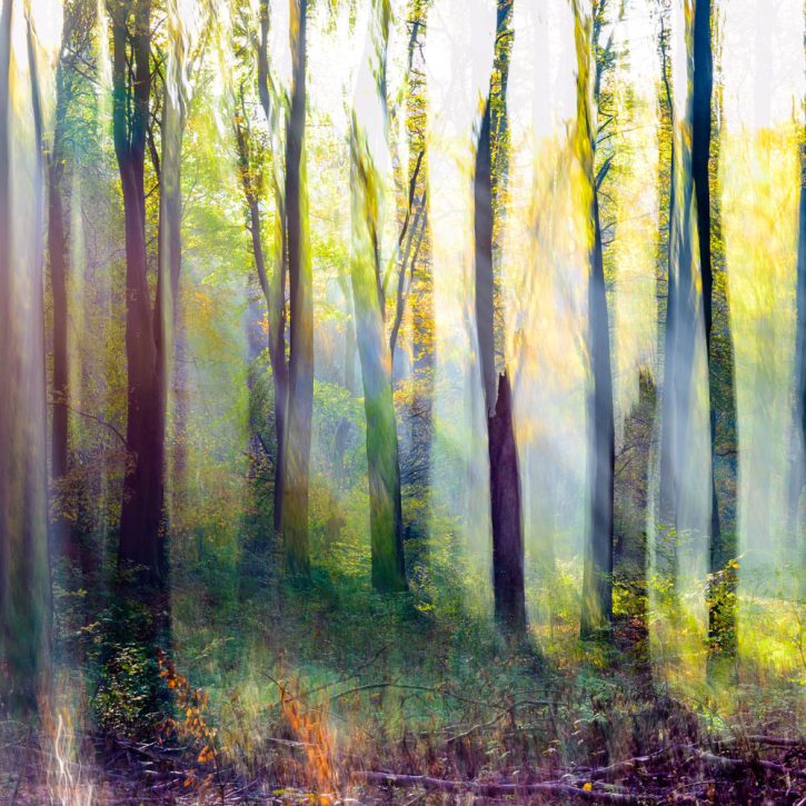 Galleries/Shop | Andy Small