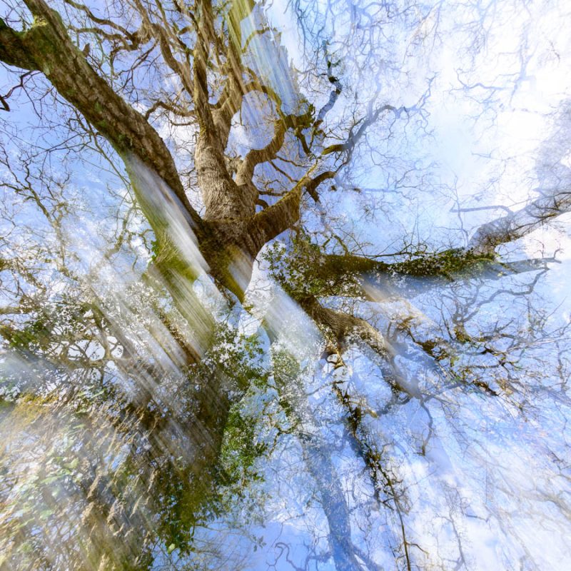 Flower Photography Landscape & Nature Photographs Andy Small