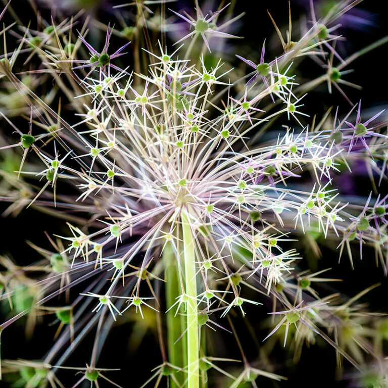 Galleries/Shop | Andy Small